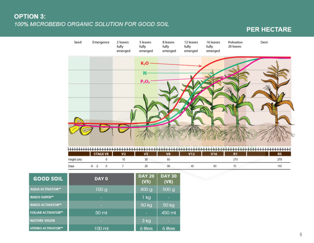 MicrobeBio Application Program For Corn - Microbial fertilizer Organic ...