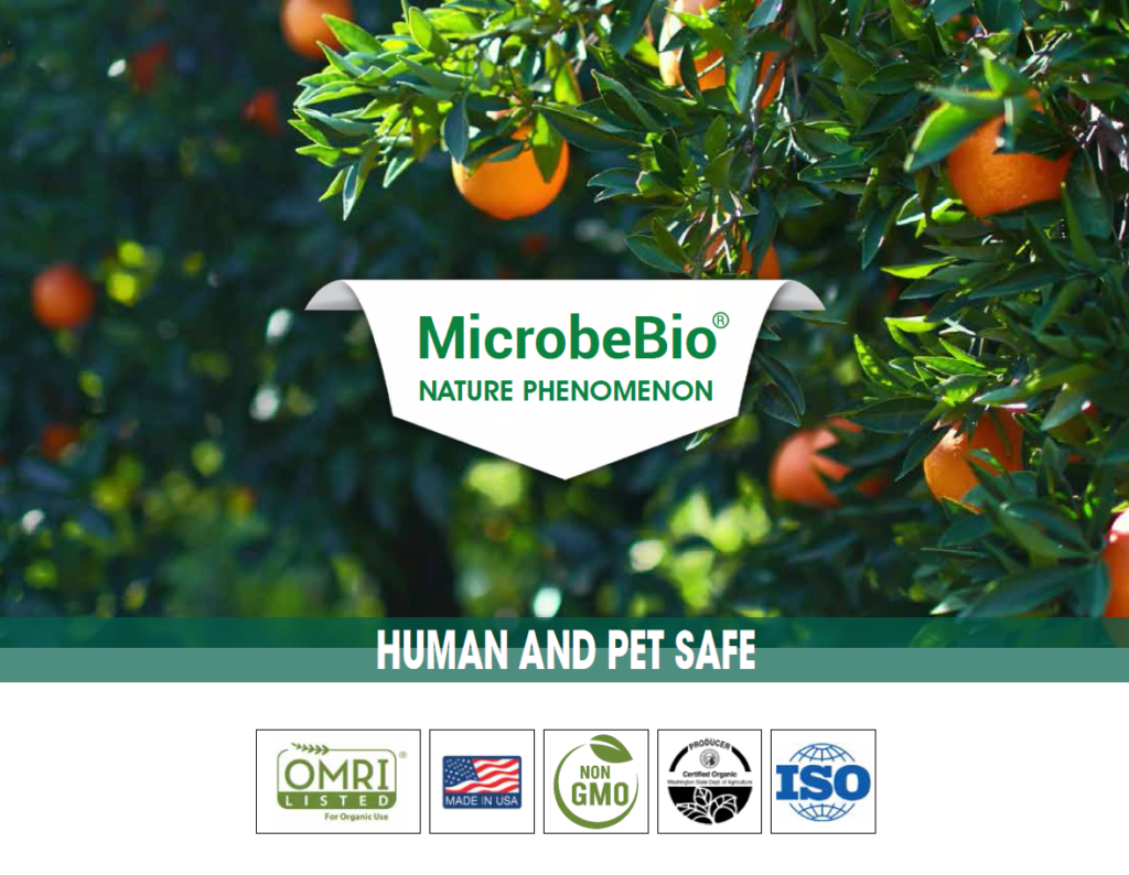 Enhancing Citrus Health with Microbebio - Microbial fertilizer Organic ...