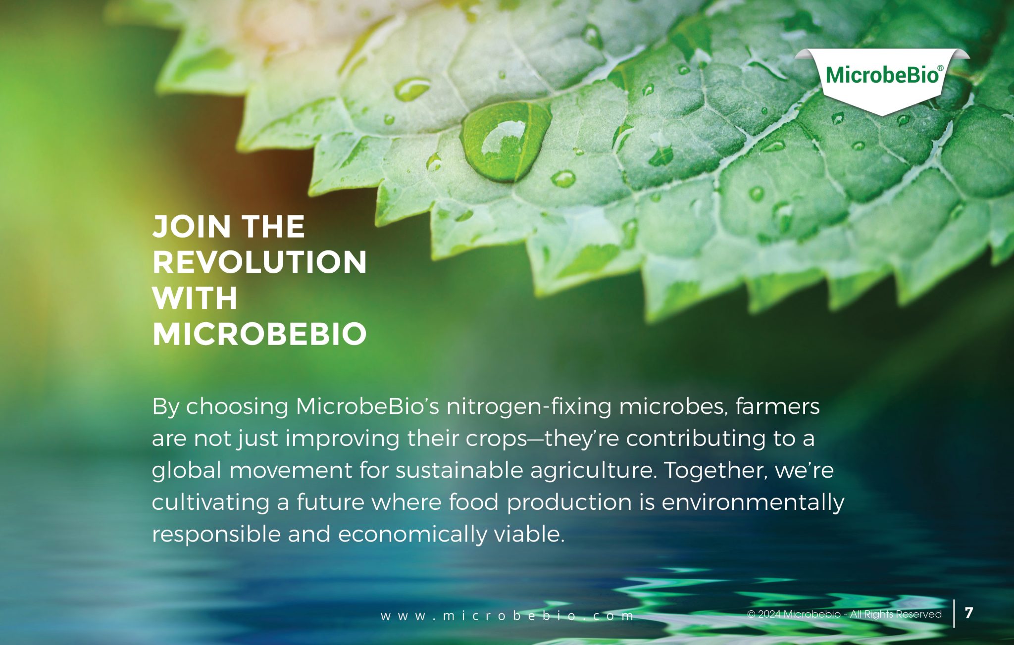 MICROBEBIO - Transforming Agriculture with Nitrogen-Fixing Microbes ...