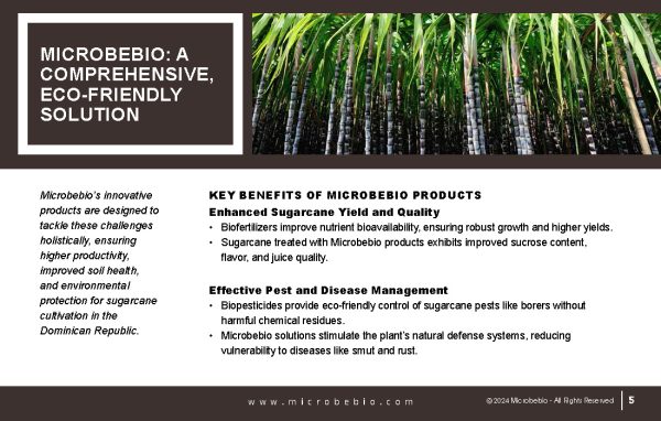 Revolutionize Sugarcane Farming in the Dominican Republic with ...
