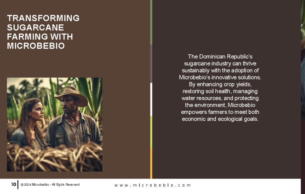 Revolutionize Sugarcane Farming in the Dominican Republic with ...