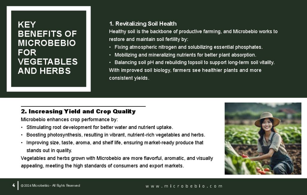 Transforming Vegetable and Herb Farming in Vietnam and Southeast Asia ...