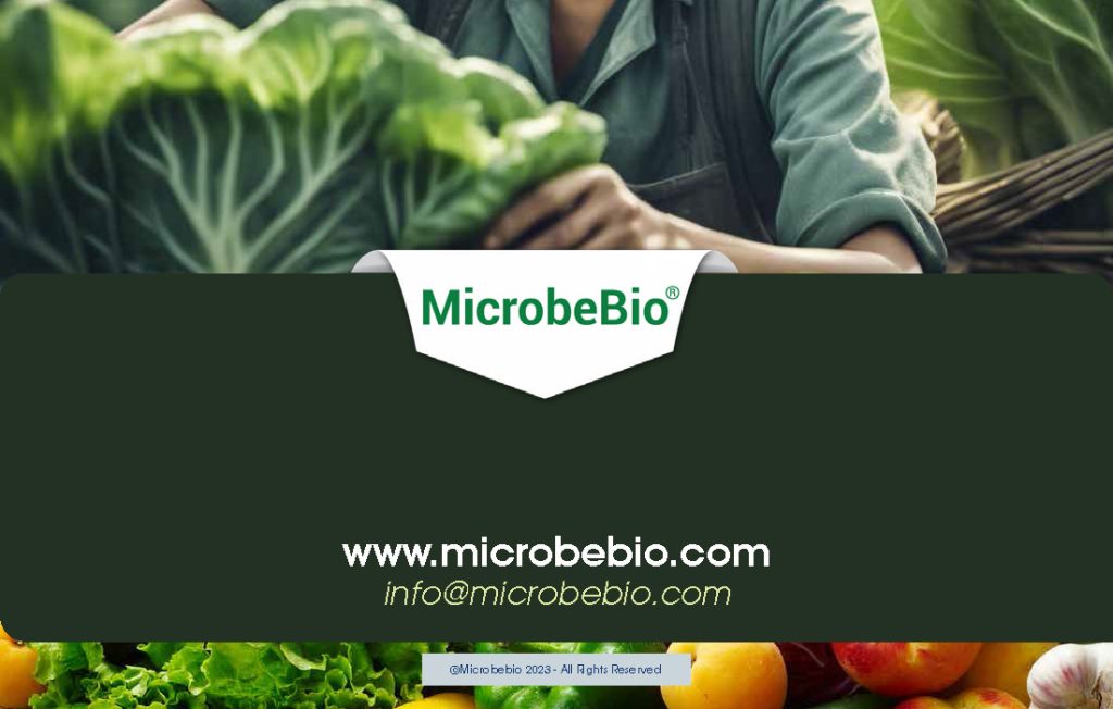 Transforming Vegetable and Herb Farming in Vietnam and Southeast Asia ...