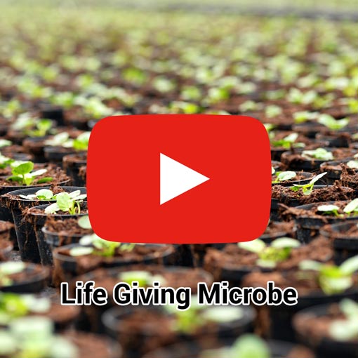 Home - Microbial fertilizer Organic Fertilizer USA