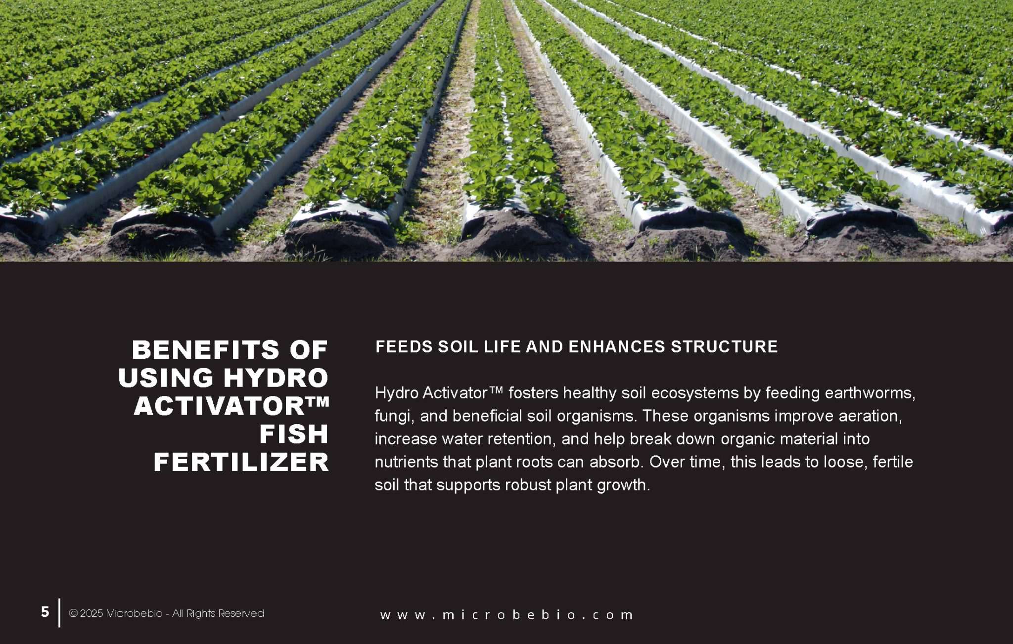 Grow Naturally with MicrobeBio® Hydro Activator™: A Fish Fertilizer ...
