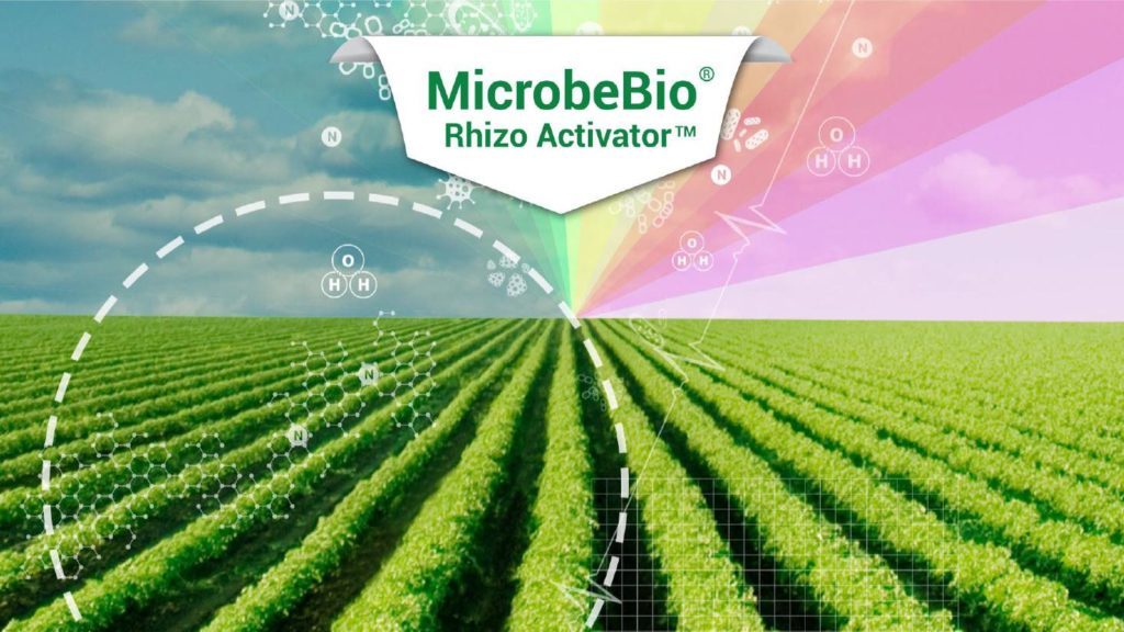 MicrobeBio® Rhizo Activator™ - Microbial fertilizer Organic Fertilizer USA