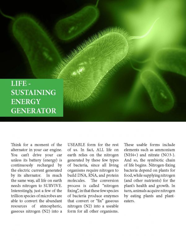 How do microbes help to sustain life on earth? - Microbial fertilizer ...