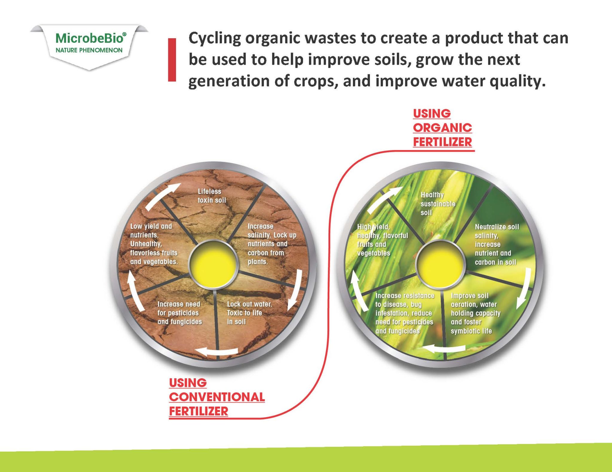 TURNING ORGANIC WASTE INTO ORGANIC BIOFERTILIZER - Microbial fertilizer ...