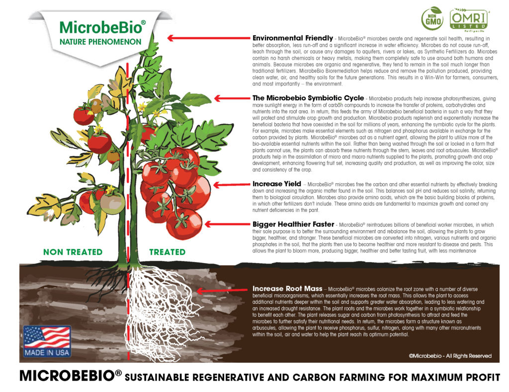 Microbebio Brochure Organic Fertilizer Microbe Fertilizer - Microbial ...