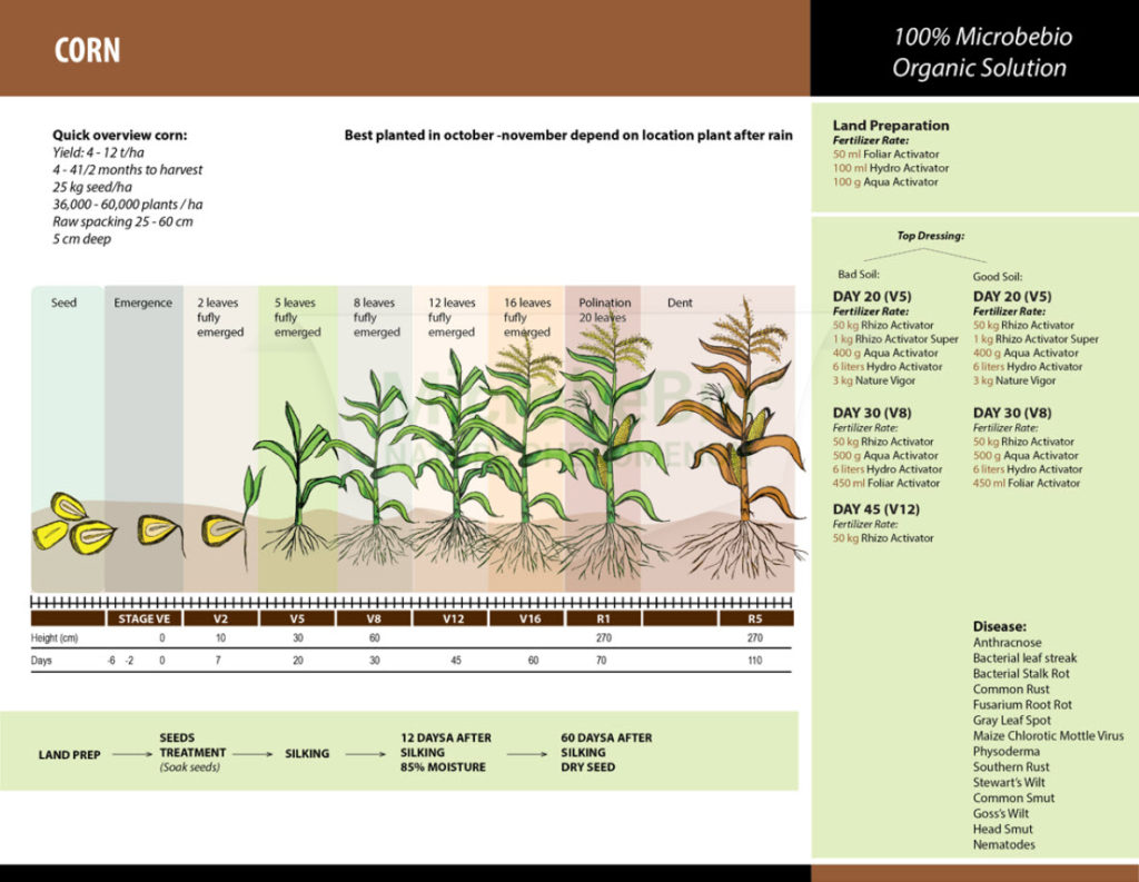 MicrobeBio Application Program For Corn - Microbial fertilizer Organic ...