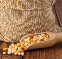 MicrobeBio Application Program For Corn - Microbial fertilizer Organic ...