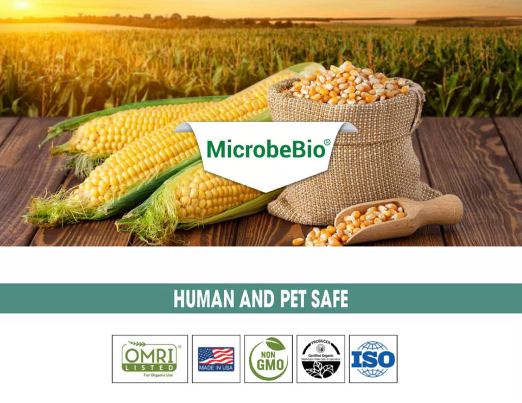 MicrobeBio Application Program For Corn - Microbial fertilizer Organic ...
