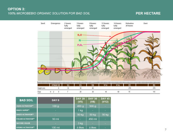 MicrobeBio Application Program For Corn - Microbial fertilizer Organic ...