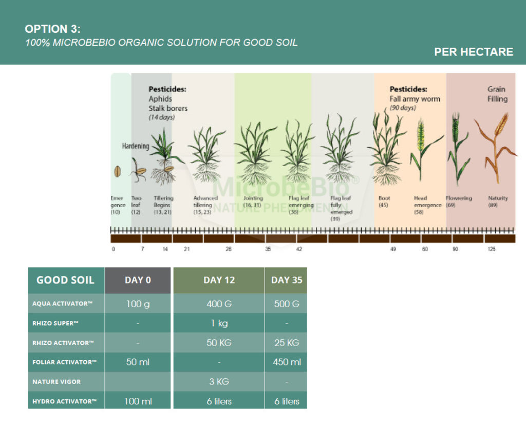 MicrobeBio Application Program for Wheat - Microbial fertilizer Organic ...