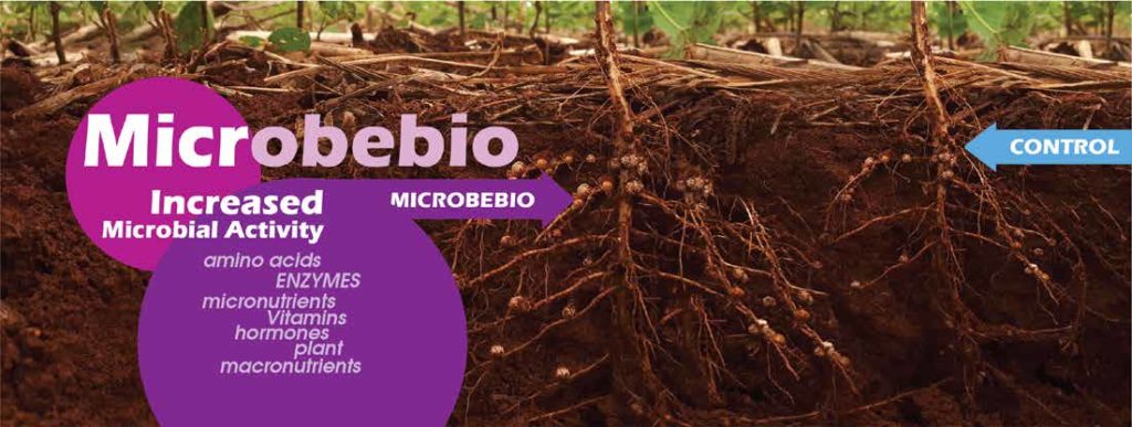 Microbebio Sustainable Regenerative and Carbon Farming - Microbial ...