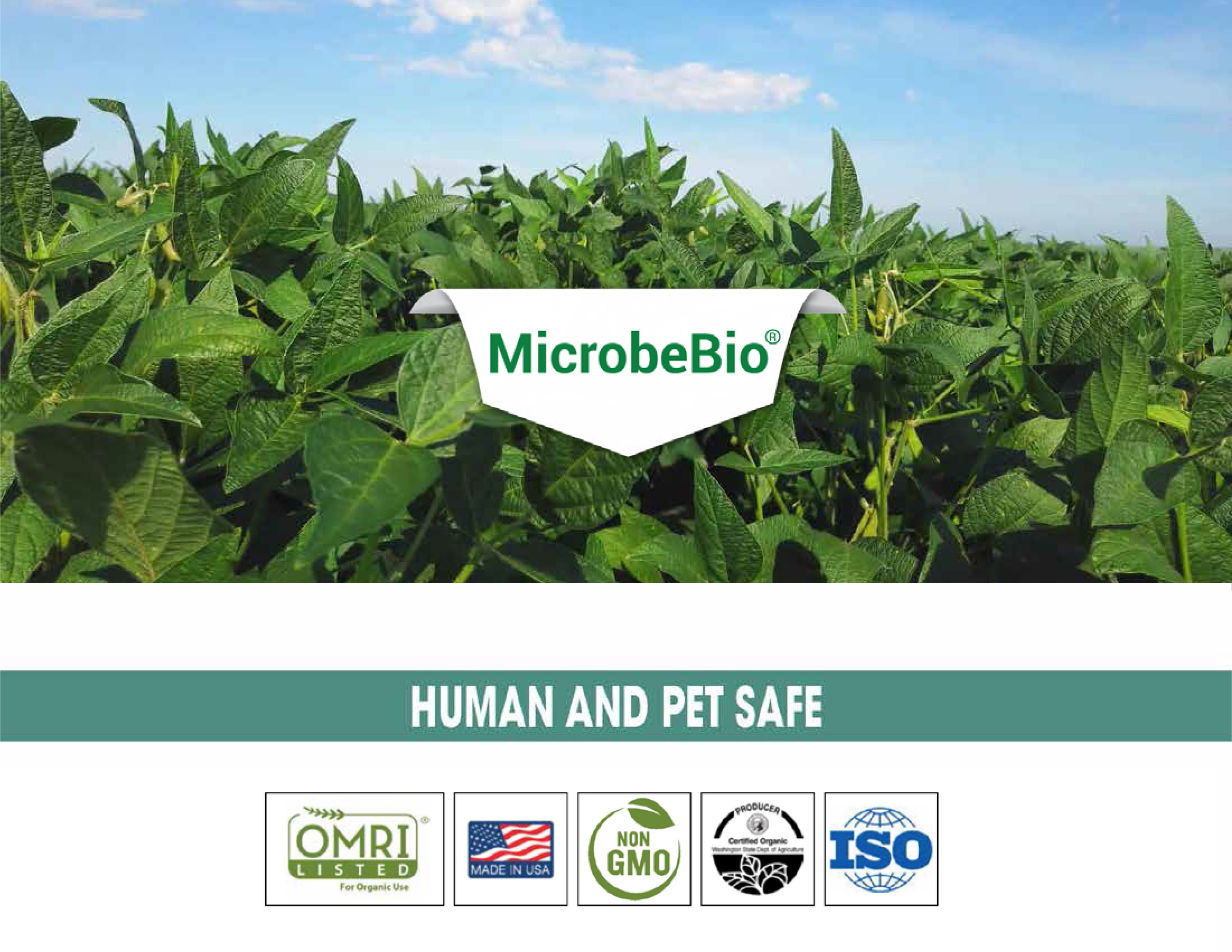 Microbebio Application Program for Soybean - Microbial fertilizer ...