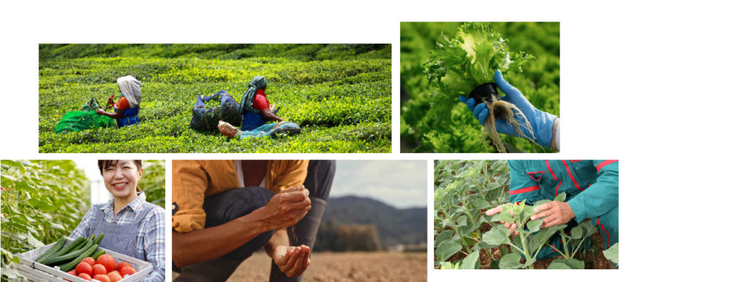 Microbebio’s pioneering solution empowers communities with access to ...