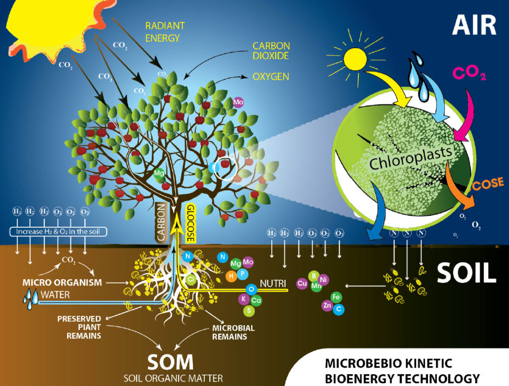 Microbebio’s pioneering solution empowers communities with access to ...