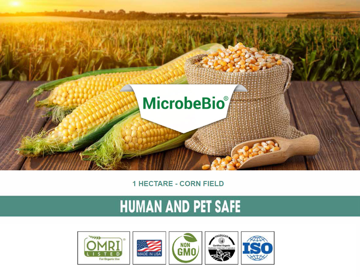MICROBEBIO - BROCHURE - APPLICATION RATE - PEST PREVENT DISEASES - CORN ...