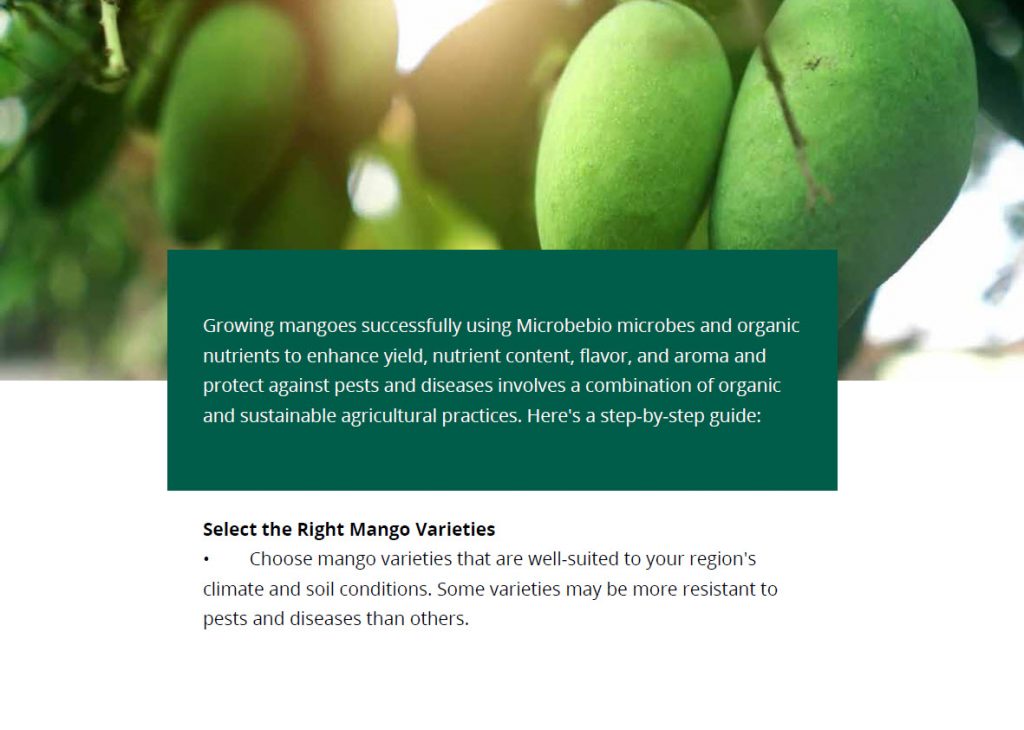 Microbebio Nature Phenomenon Mango - Microbial fertilizer Organic ...