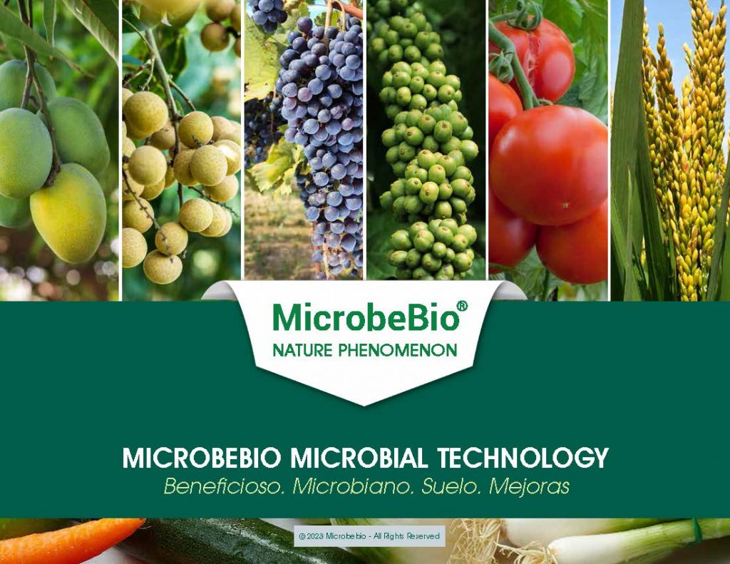 MicrobeBio NATURE PHENOMENON DURIAN - Microbial fertilizer Organic ...
