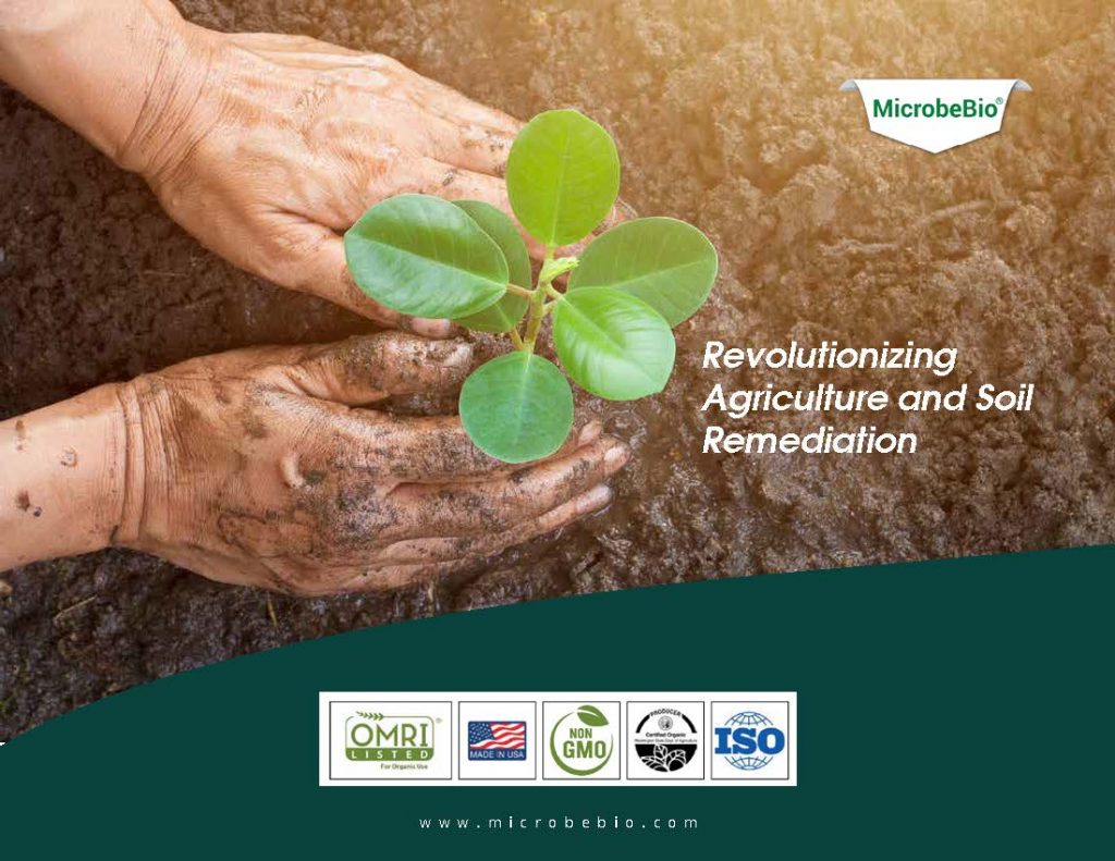 Using Microbebio solutions to remediate cyanite-contaminated mine soil ...