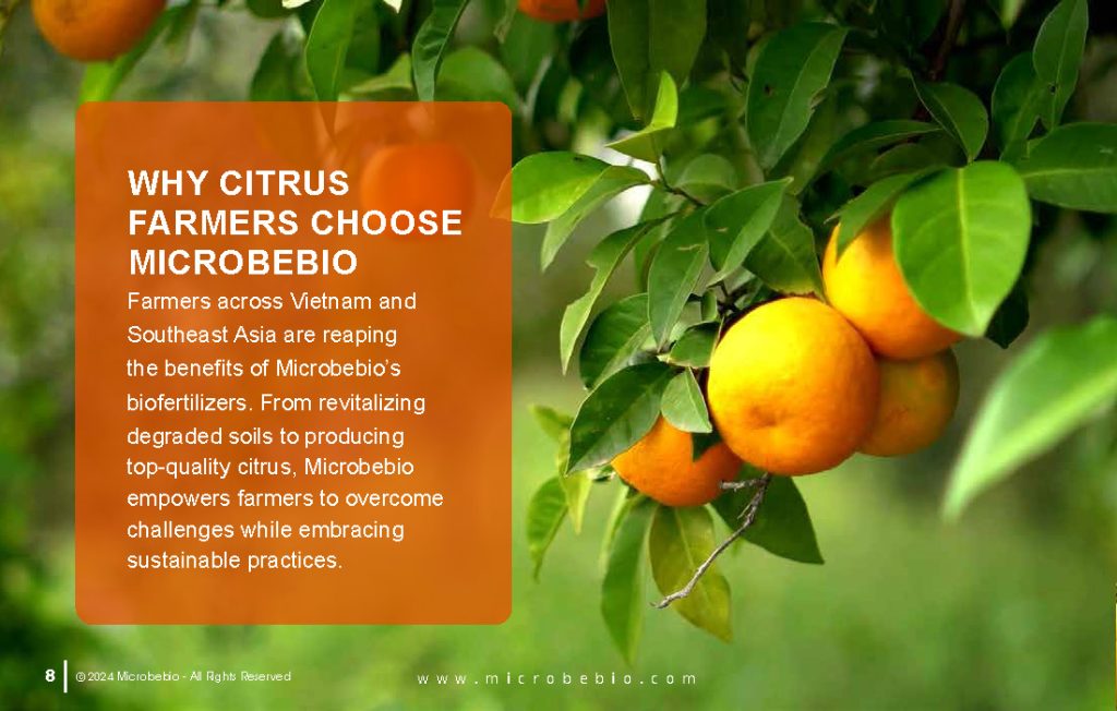 Transforming Citrus Farming in Vietnam and Southeast Asia with ...
