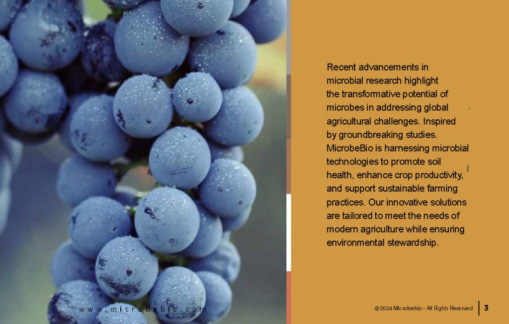 MicrobeBio: Pioneering Microbial Solutions for Sustainable Agriculture ...