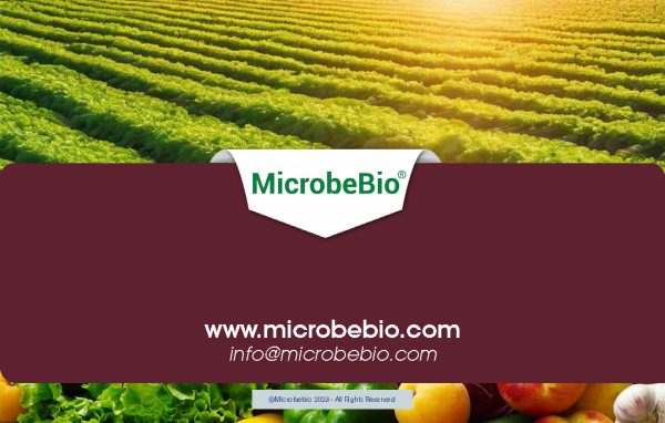 MicrobeBio: Pioneering the Future of Fertilizer with Microbial ...