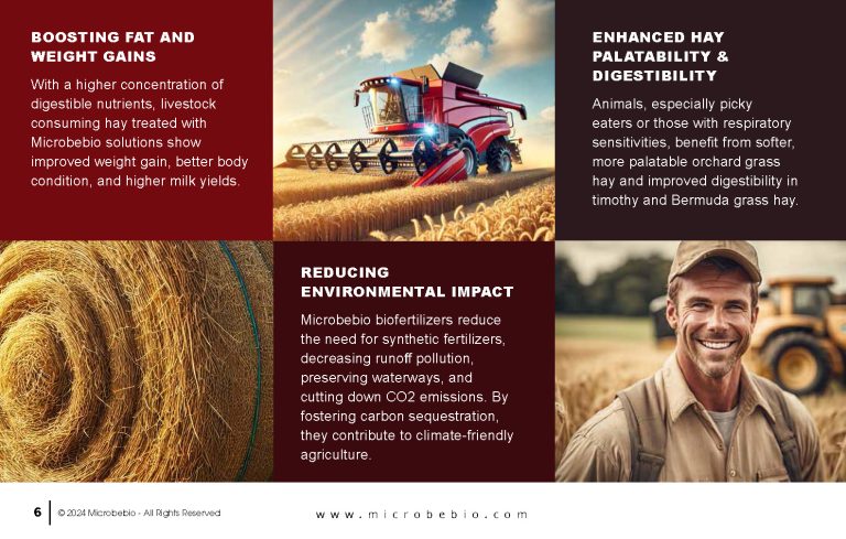 Rebuilding Grazing Land with Microbebio: Enhancing Hay Production for ...