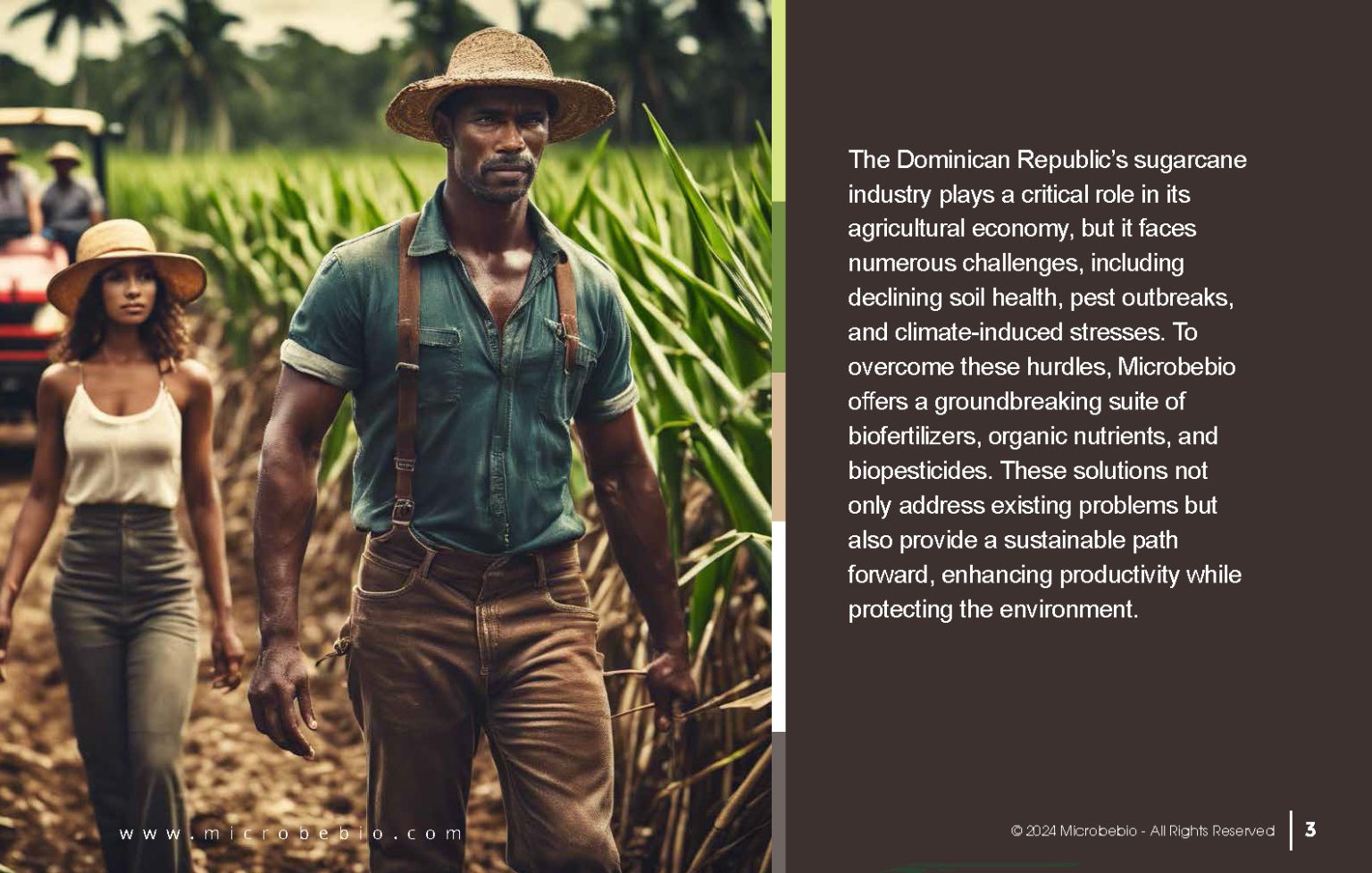 Revolutionize Sugarcane Farming in the Dominican Republic with ...