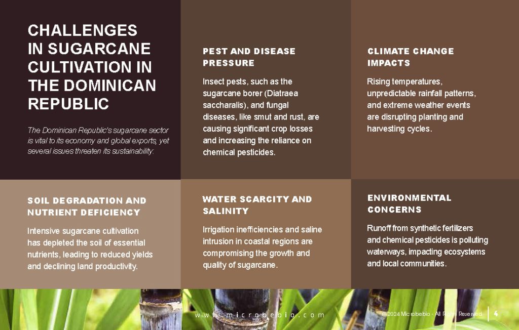 Revolutionize Sugarcane Farming in the Dominican Republic with ...