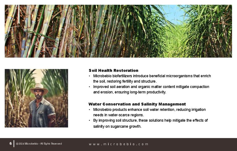 Revolutionize Sugarcane Farming in the Dominican Republic with ...