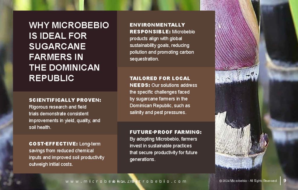 Revolutionize Sugarcane Farming in the Dominican Republic with ...