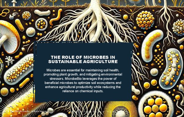 MicrobeBio: Revolutionizing Agriculture Through Microbial Advancements ...