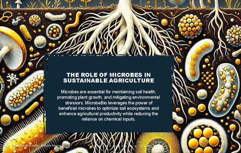 MicrobeBio: Revolutionizing Agriculture Through Microbial Advancements ...