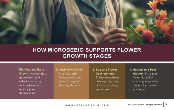 Revolutionizing Flower Farming in Vietnam and Southeast Asia with ...