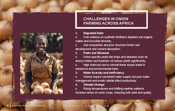 Revolutionizing Onion Farming in Africa with Sustainable-Scientific Solutions - Microbial ...