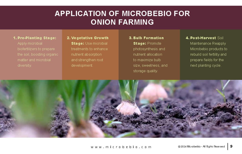 Revolutionizing Onion Farming in Africa with Sustainable-Scientific Solutions - Microbial ...