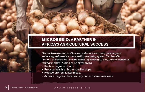 Revolutionizing Onion Farming in Africa with Sustainable-Scientific Solutions - Microbial ...