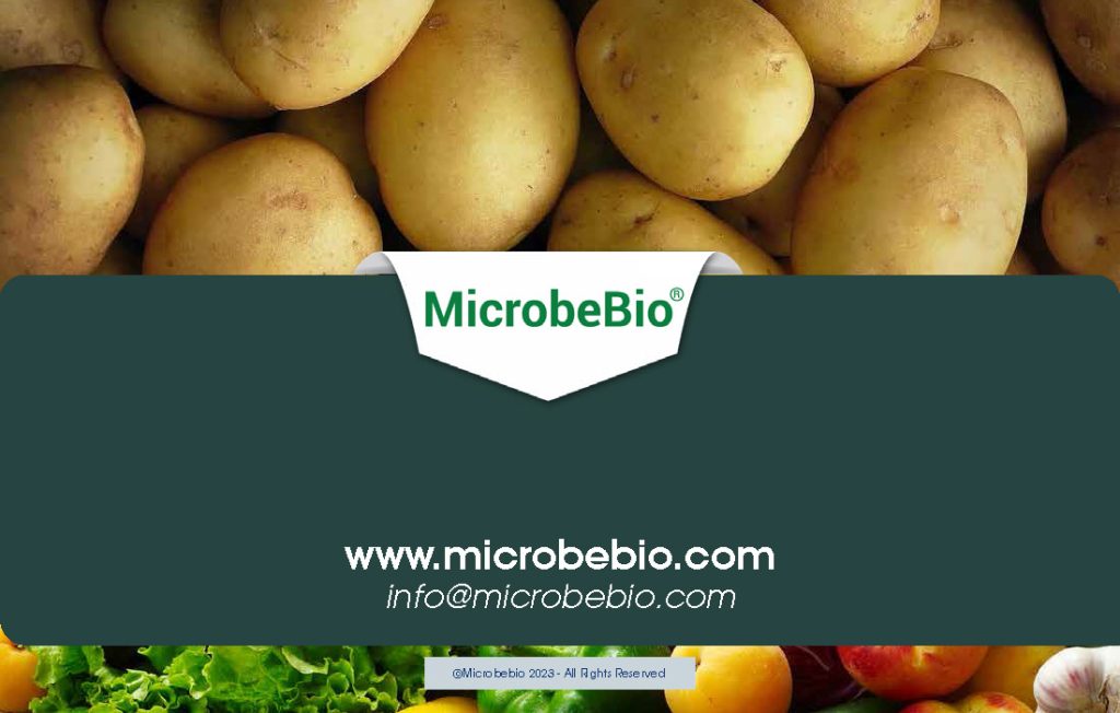 Revolutionizing Potato Farming in Africa with Sustainable and ...