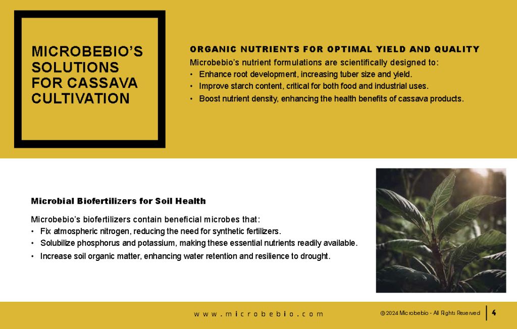 Microbebio: Revolutionizing the African Cassava Industry with 100% ...