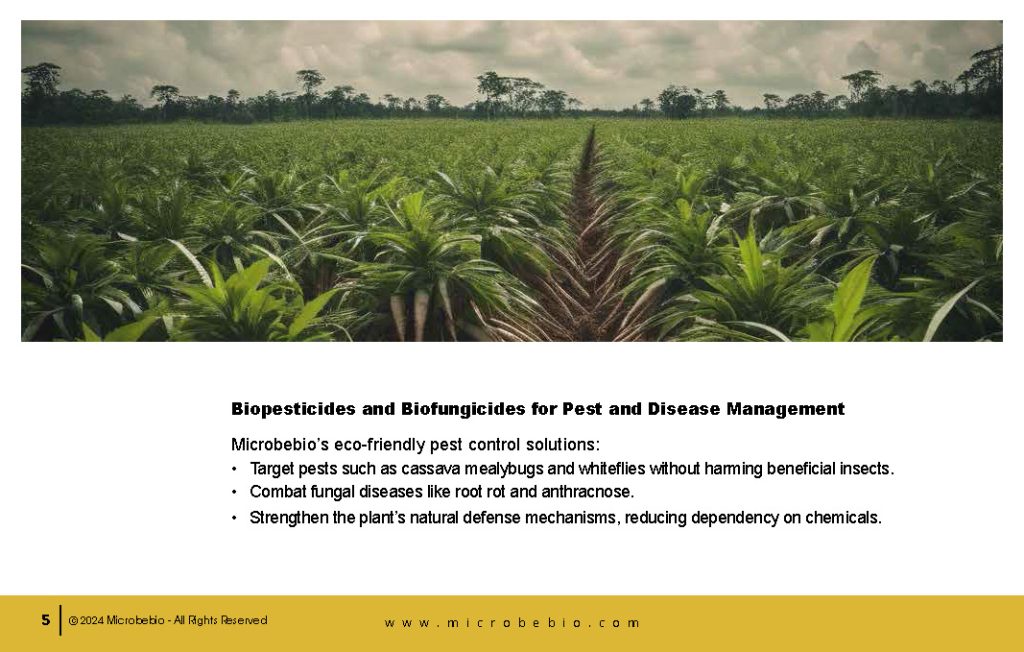 Microbebio: Revolutionizing the African Cassava Industry with 100% ...