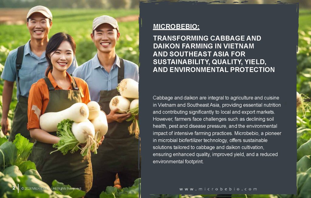 Microbebio: Transforming Cabbage and Daikon Farming in Vietnam and ...
