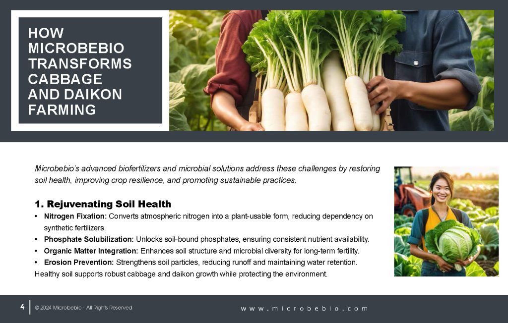 Microbebio: Transforming Cabbage and Daikon Farming in Vietnam and ...