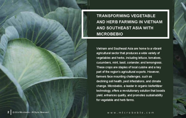 Transforming Vegetable and Herb Farming in Vietnam and Southeast Asia ...