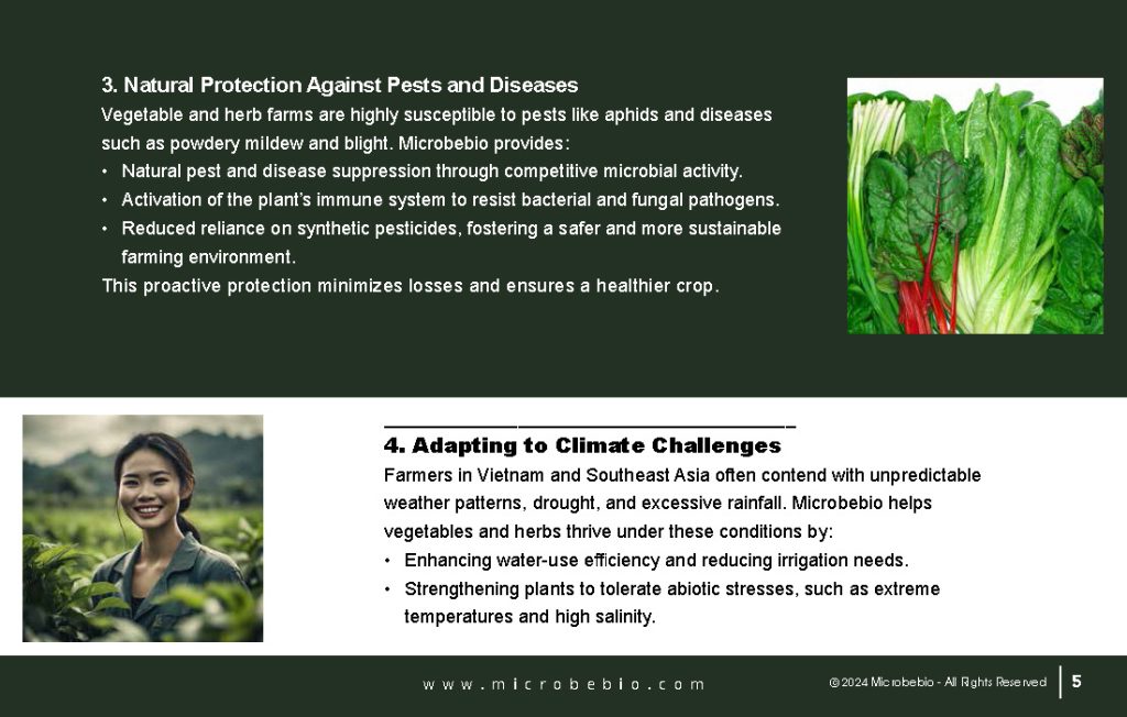 Transforming Vegetable and Herb Farming in Vietnam and Southeast Asia ...