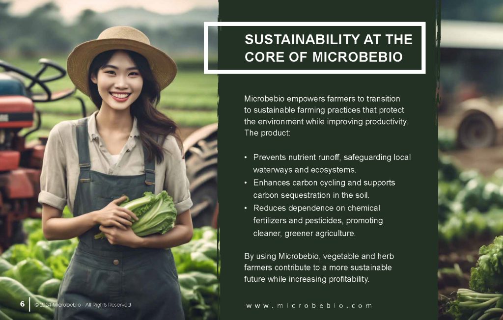 Transforming Vegetable and Herb Farming in Vietnam and Southeast Asia ...
