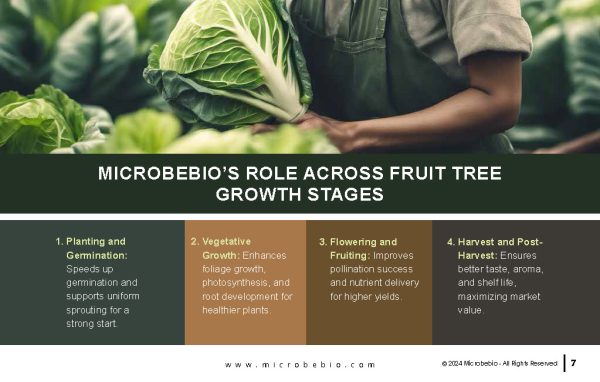 Transforming Vegetable and Herb Farming in Vietnam and Southeast Asia ...