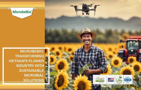 MicrobeBio: Transforming Vietnam’s Flower Industry with Sustainable ...